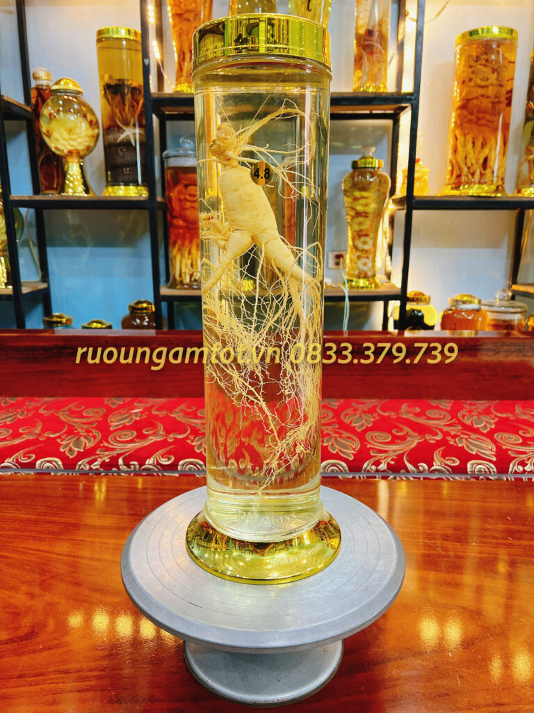 5 sự thật bất ngờ về rượu ngâm sâm trường bạch. - Rượu ngâm tốt